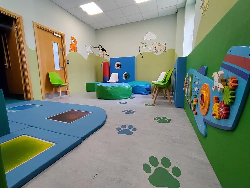 Irish Guide Dogs for the Blind | Assistance Dog Programme Sensory Room