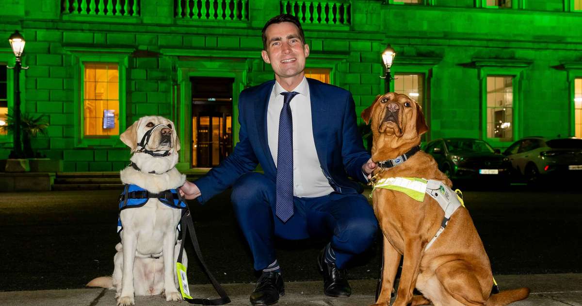 Leinster House Lit Up Green to Mark IGD's 50th Anniversary