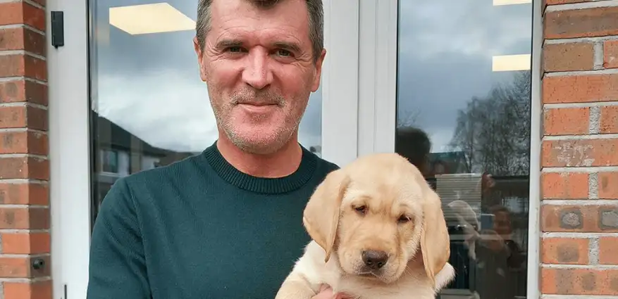 Irish Guide Dogs for the Blind |Roy Keane Raffle | Rules